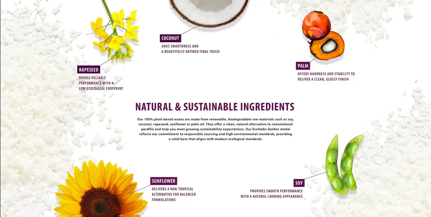 Non-Food | Vandemoortele Professional